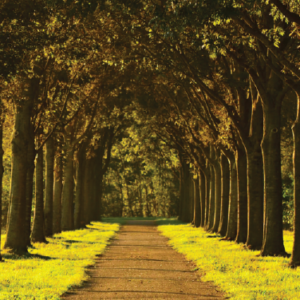 Biozem Home - biozem.ca